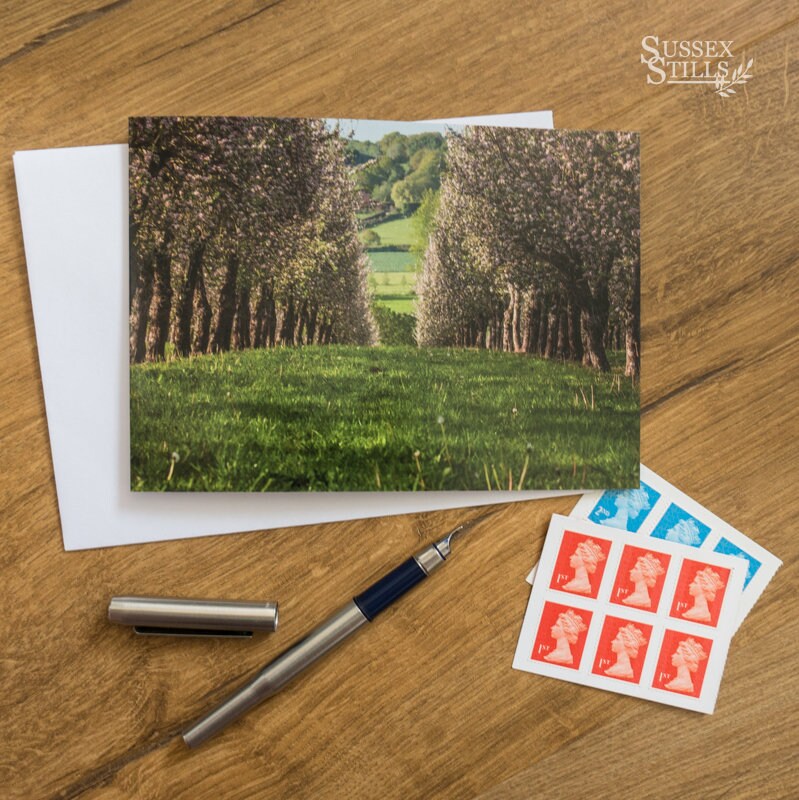 Orchard Photographic Card Apple Tree Photo Card Apple - Etsy
