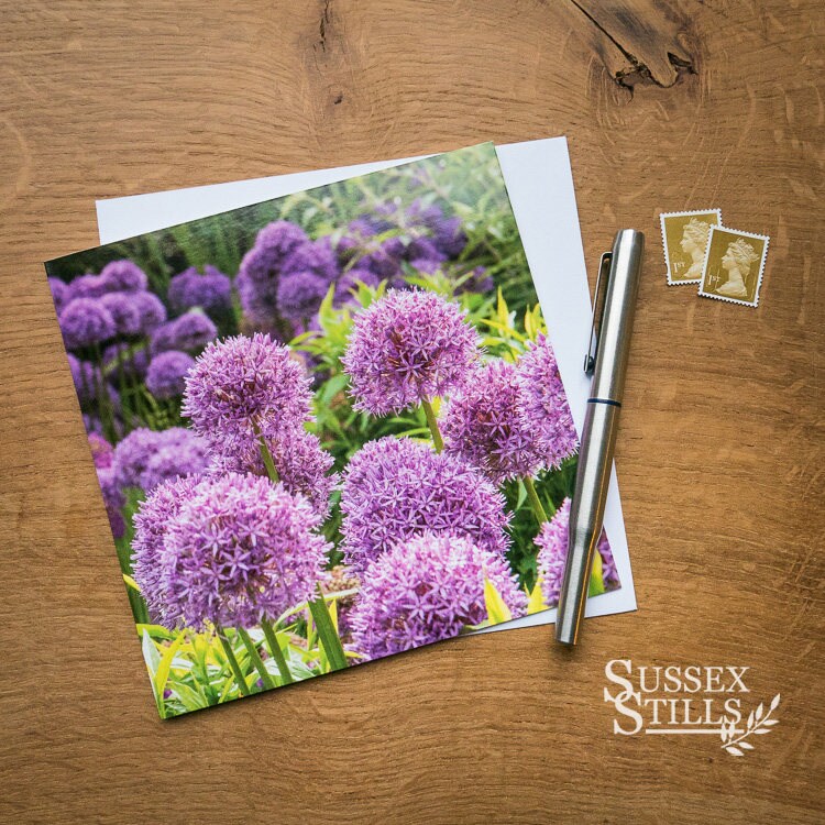 Allium Fine Art Photographic Greeting Card Allium Flower | Etsy