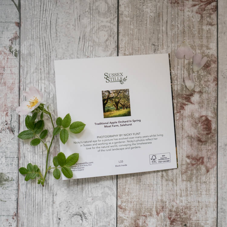 Orchard Fine-art Photographic Card - Orchard Greeting Card - Orchard ...