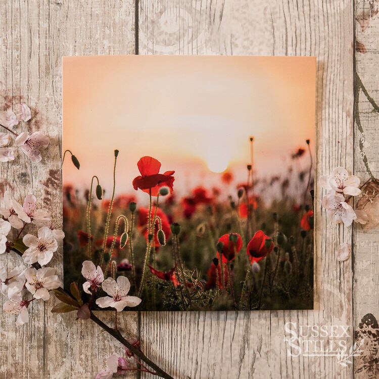 Poppy Fine-art Photographic Card Poppies Photo Card Poppy Print Red ...