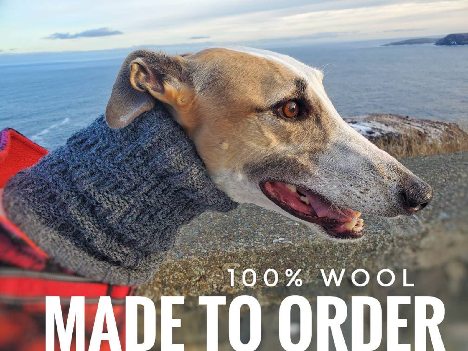 Greyhound Snood. Wool Neck Warmer. Galgo Whippet. Winter Dog Scarf ...