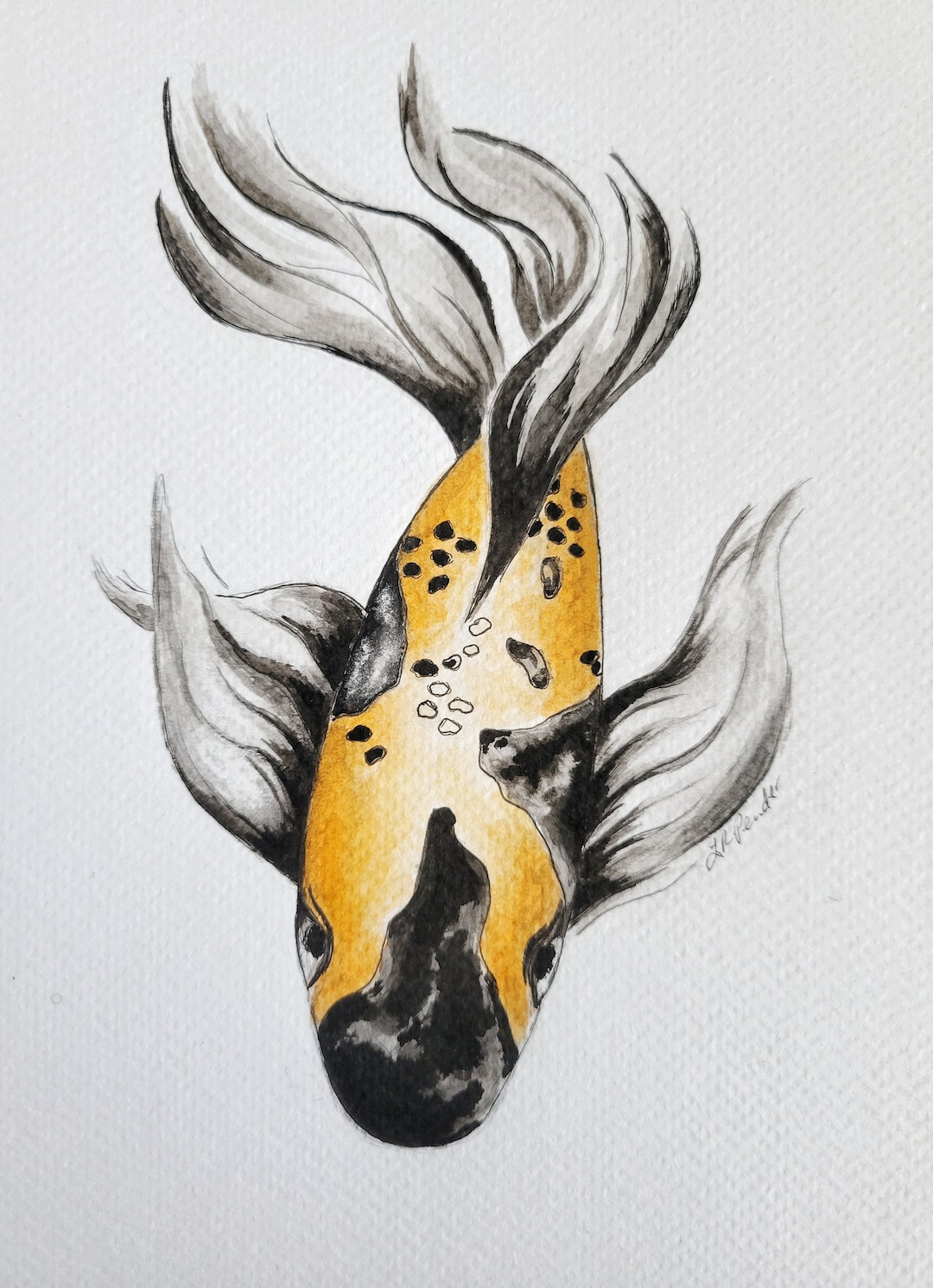Koi Fish Ink Drawing. Original Art. 6"x9" Free Shipping. - Etsy