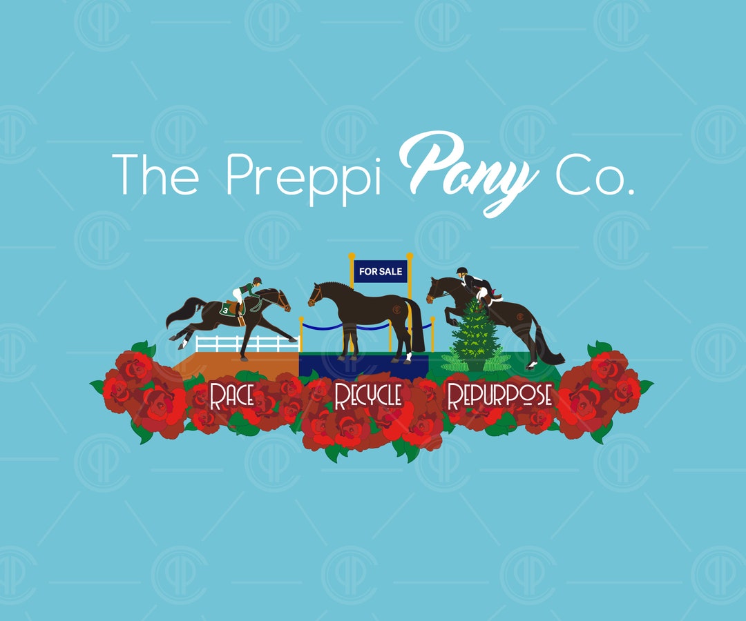 Adult OTTB Hunter Jumper. Race Recycle Repurpose - Etsy