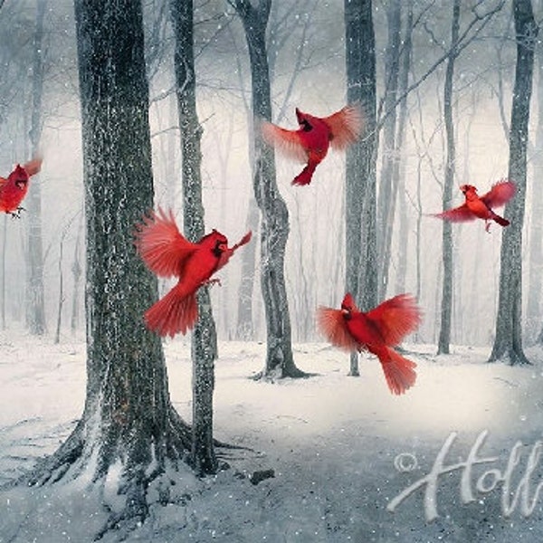 Cardinal Fabric - Etsy