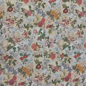 Studio E Fabrics La Concorde Fabric Collection - Etsy