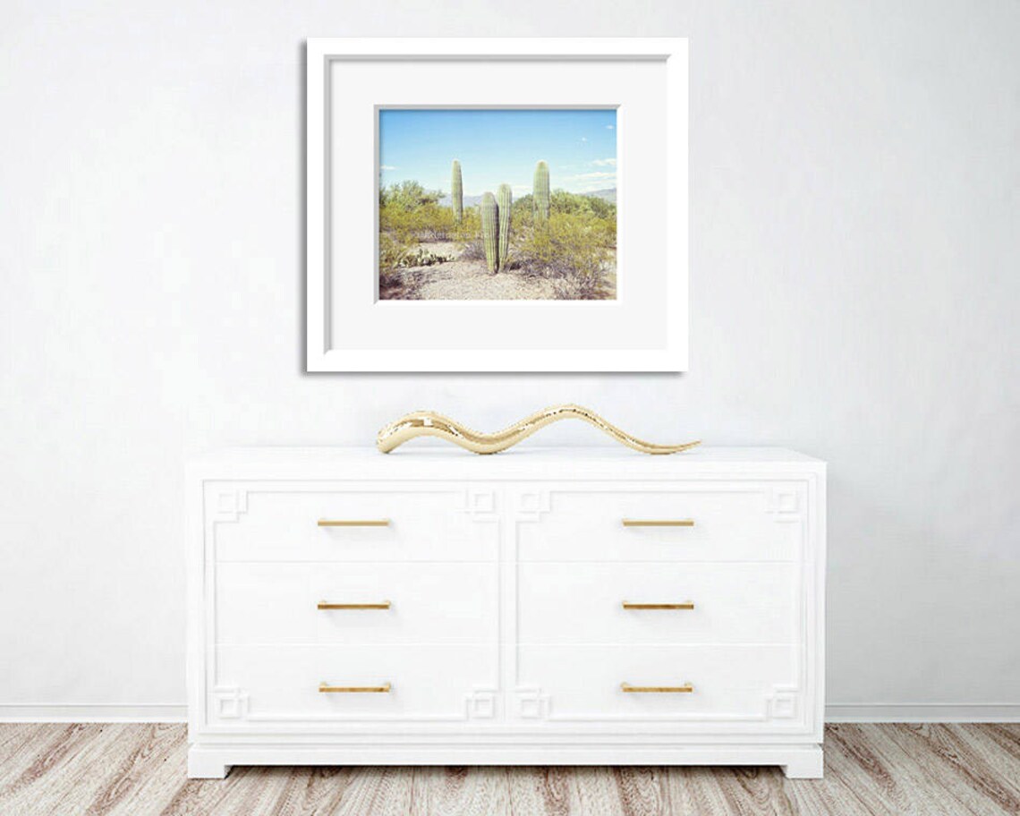 Southwestern Decor Cactus Wall Art Desert Photography Cactus | Etsy