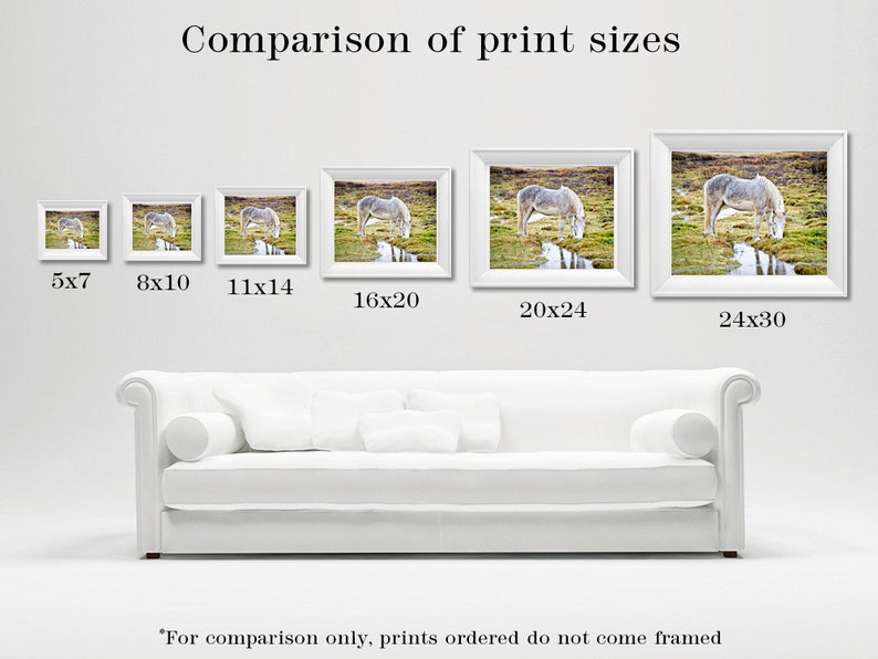 New York City Print New York Public Library Print Library - Etsy