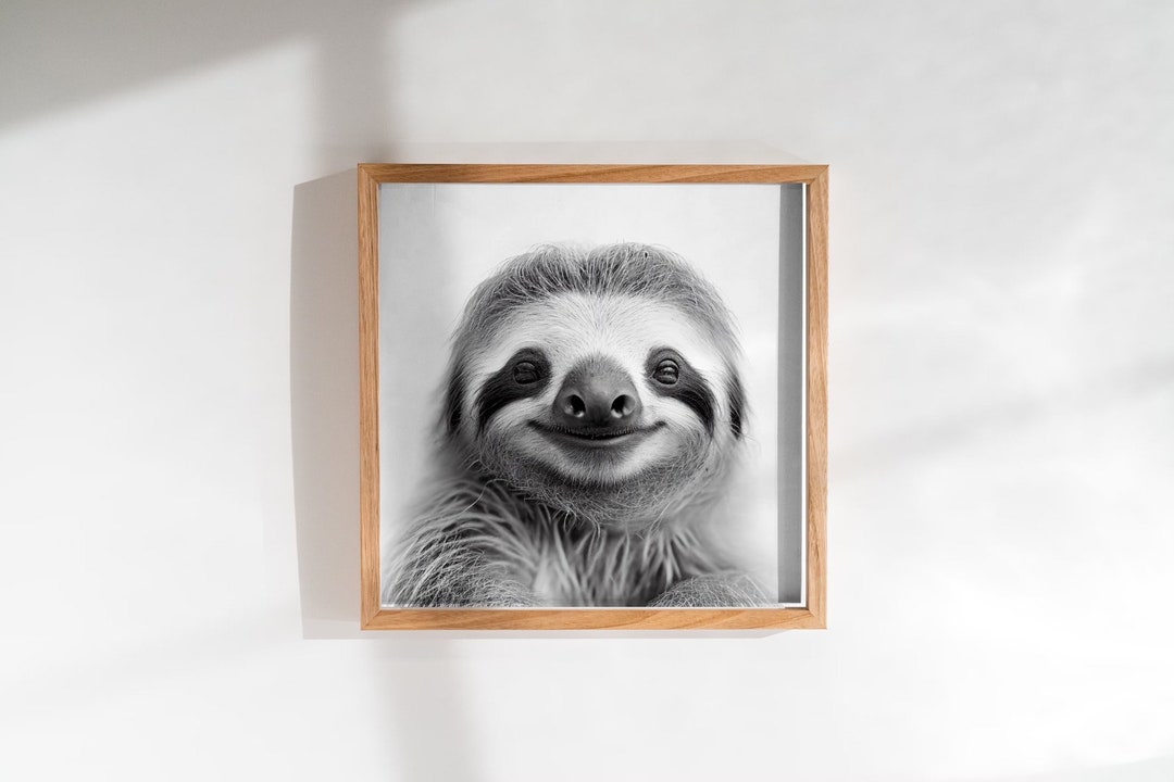 Sloth, Digital Download - Etsy