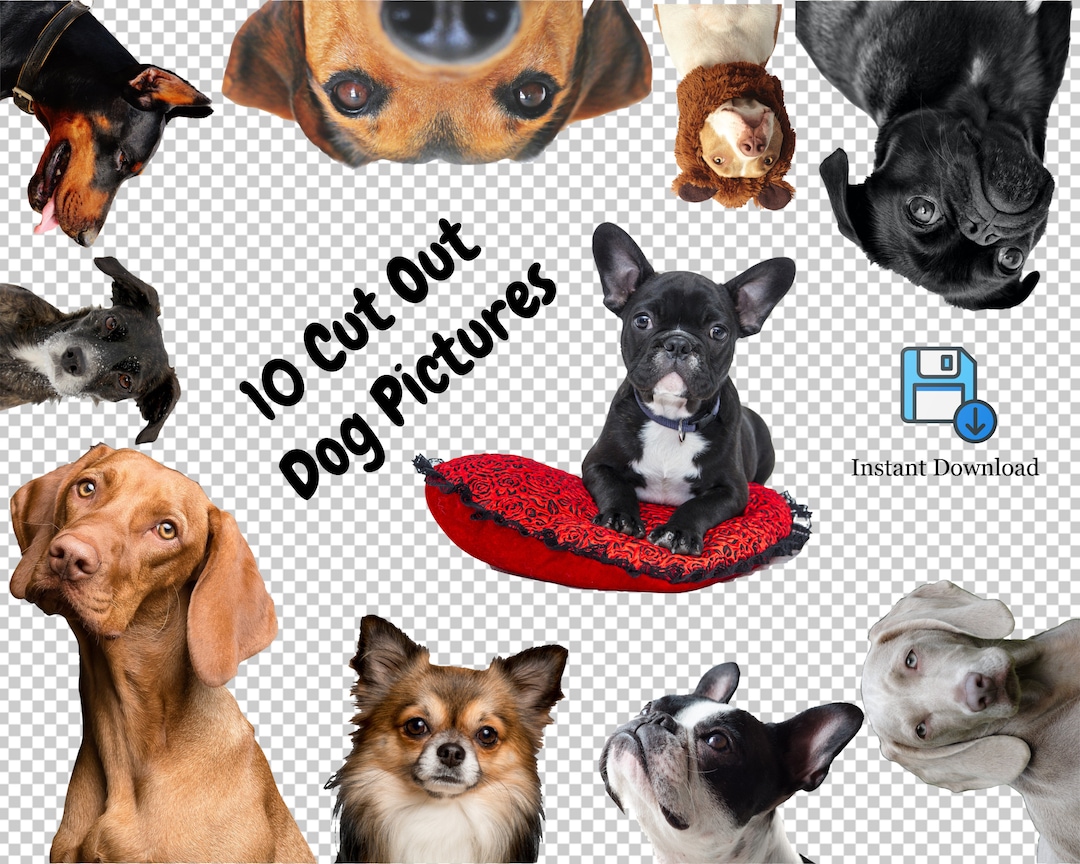 10 Cut Out Cute Dog Images Transparent Background - Etsy