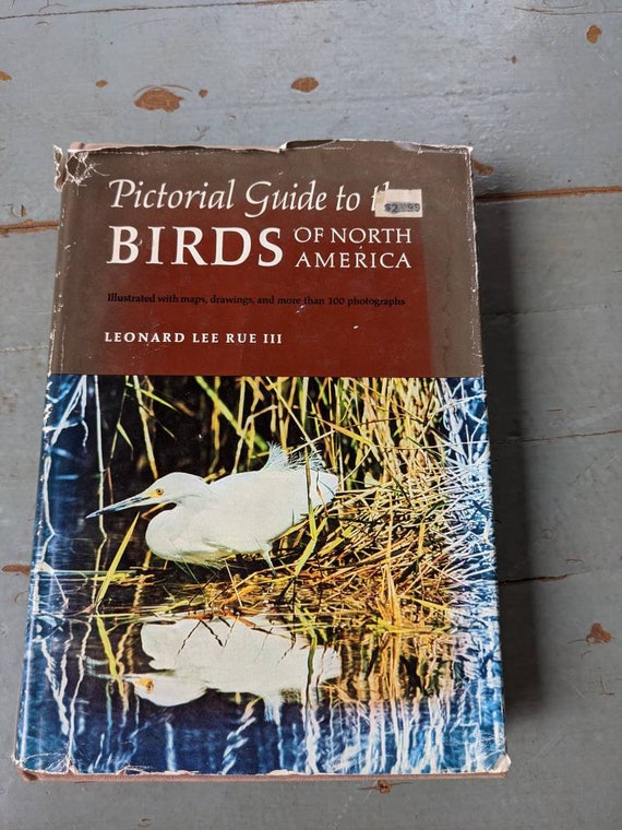 Vintage Book Pictorial Guide to Birds of North America by | Etsy