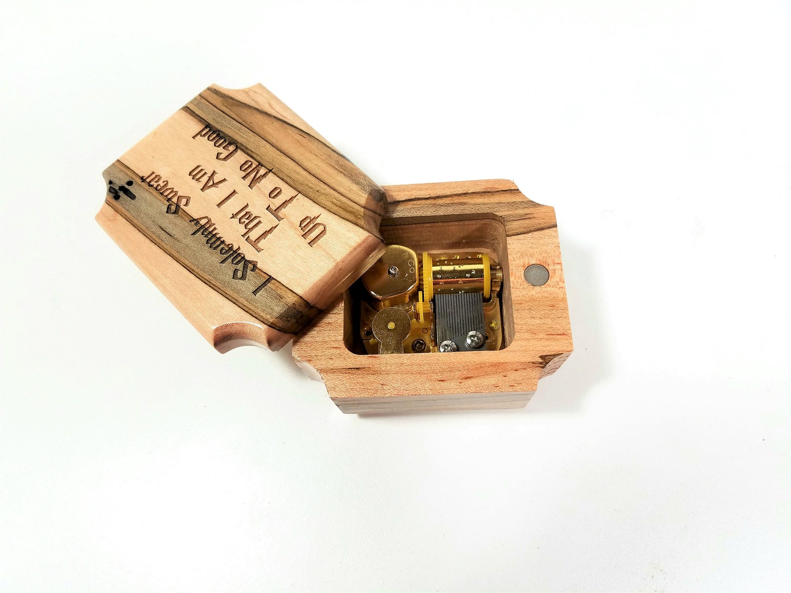 Personalized Simba Music Box Lion Cub Music Box - Etsy