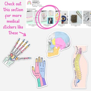 Occupational Therapy OT Vinyl Sticker Set of 5 - Etsy