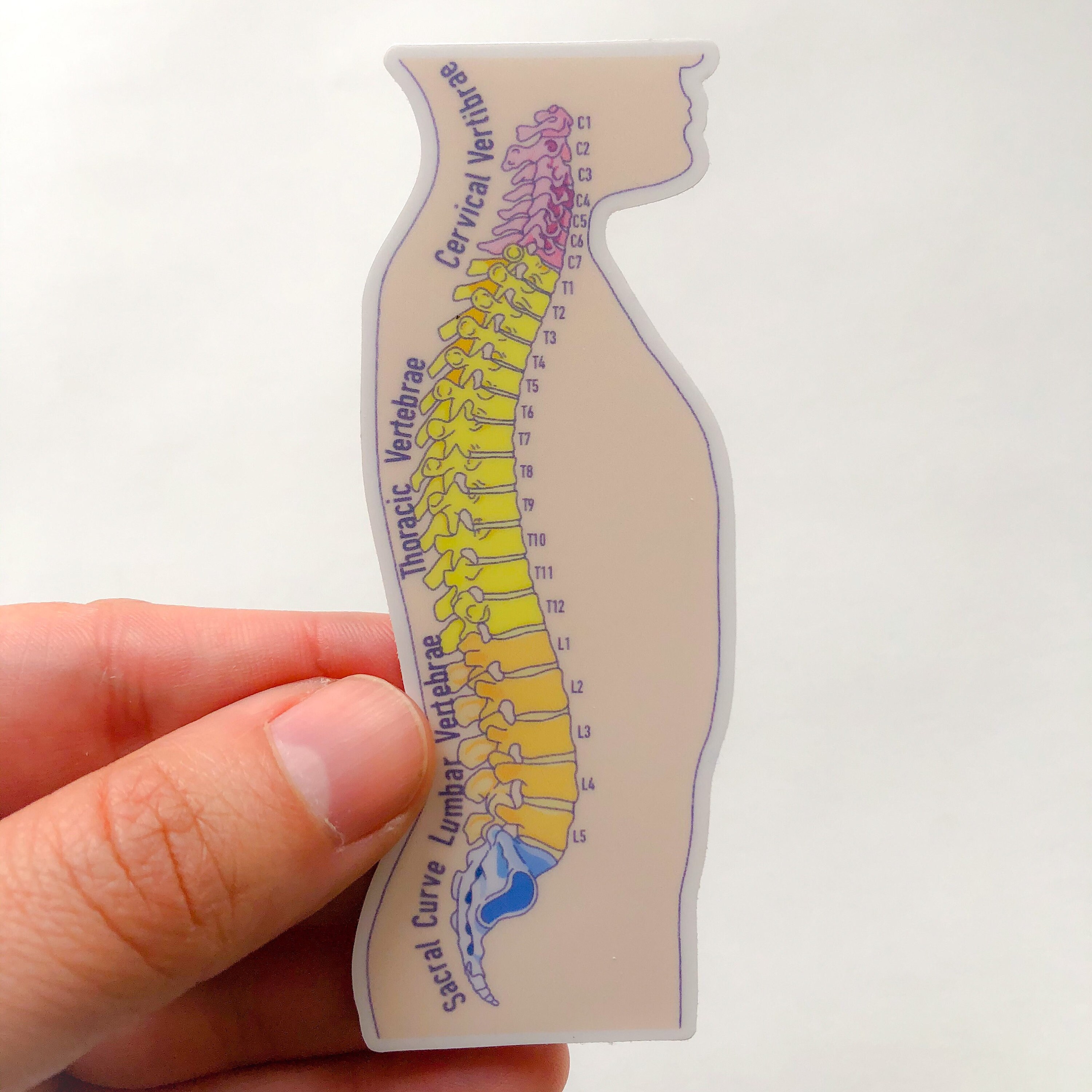 Digital Art & Collectibles Spine Sticker OT Occupational Therapy etna ...