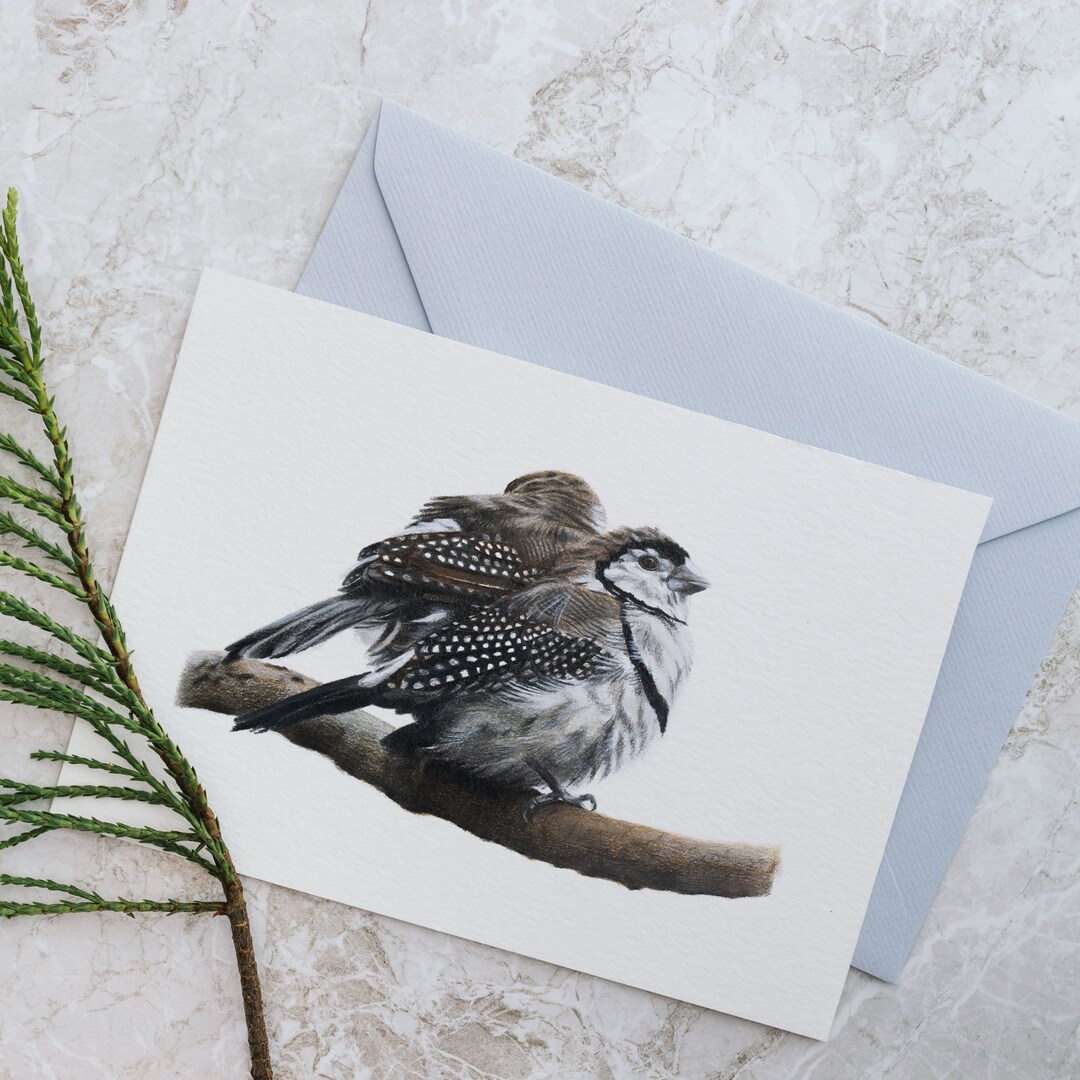 Double-barred Finches Australian Greeting Card - Etsy