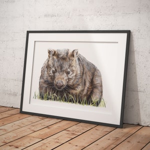 Wombat Print - Australian Animal Print - Australian Native Wildlife Art ...