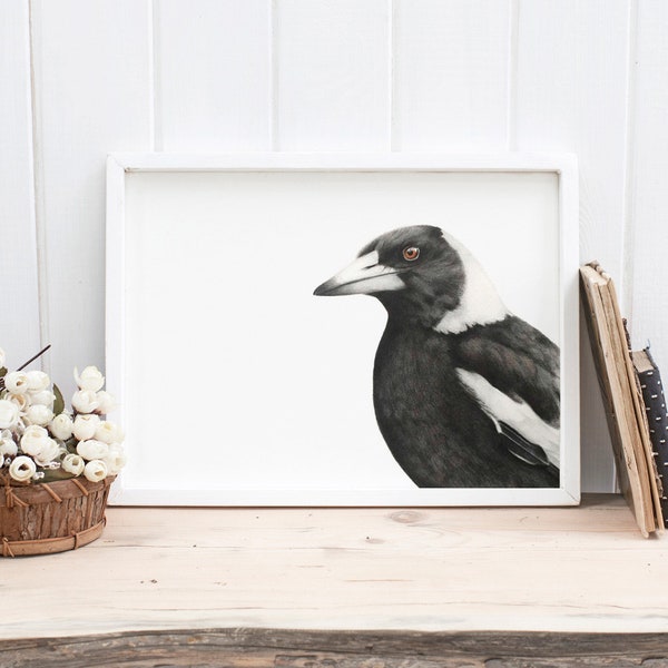 Magpie - Etsy Australia