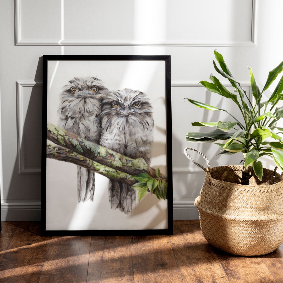 Tawny Frogmouth Print: Australian Bird Art - Etsy