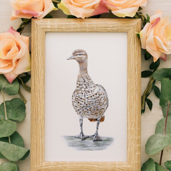 Duck Bird Print - Etsy