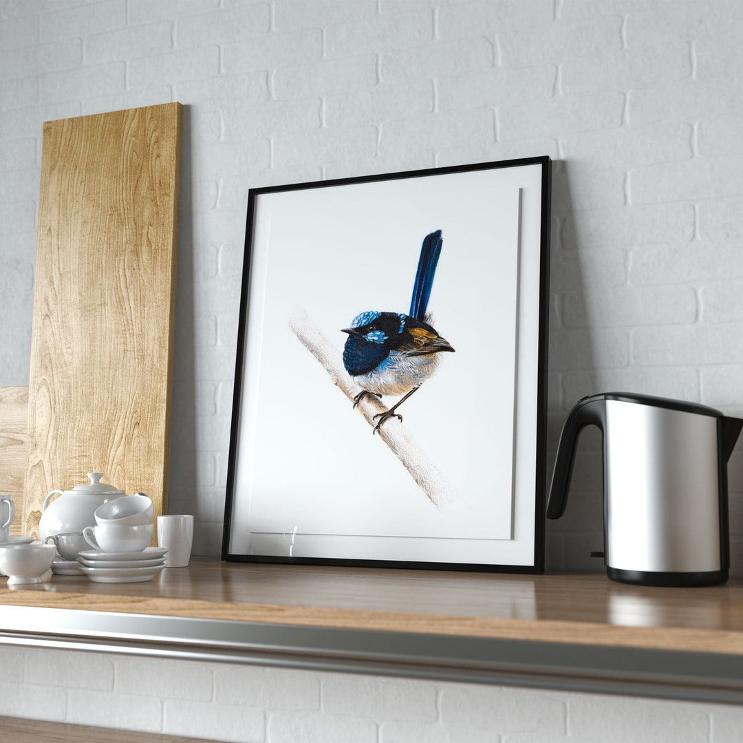 Fairywren Art Print, Australian Bird Giclée on Cotton Paper - Etsy