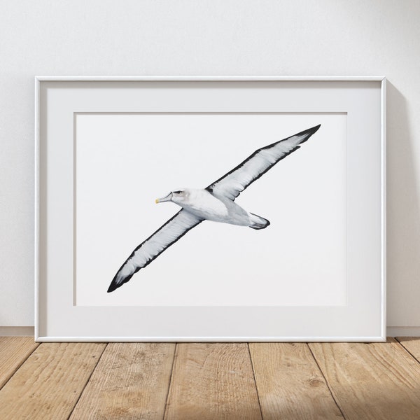 The Albatross Wall Art - Etsy