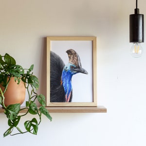 Cassowary Print, Australian Native Bird Art - Etsy