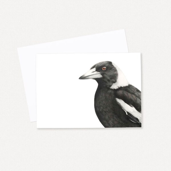Australian Magpie - Etsy Australia