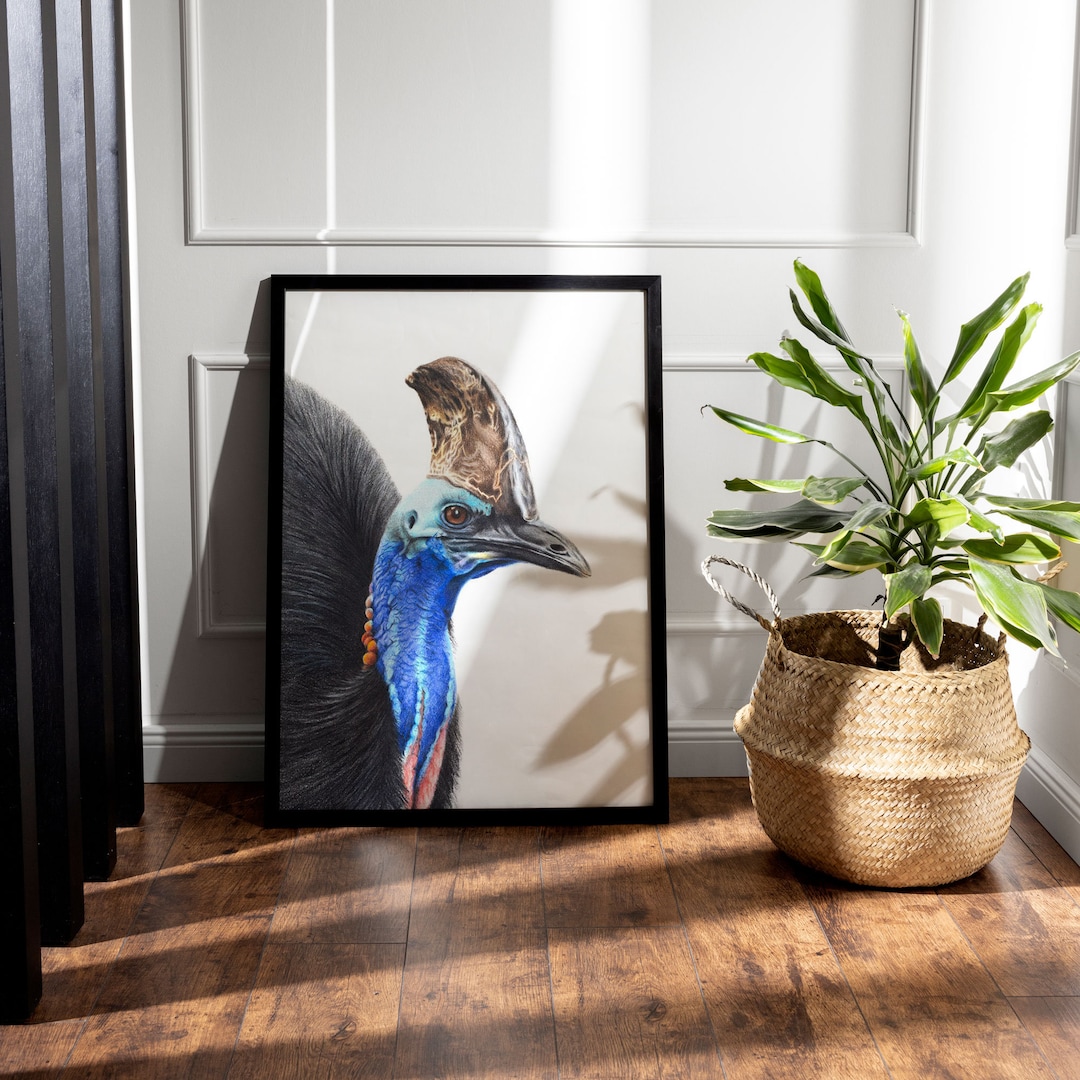 Cassowary Print, Australian Native Bird Art - Etsy
