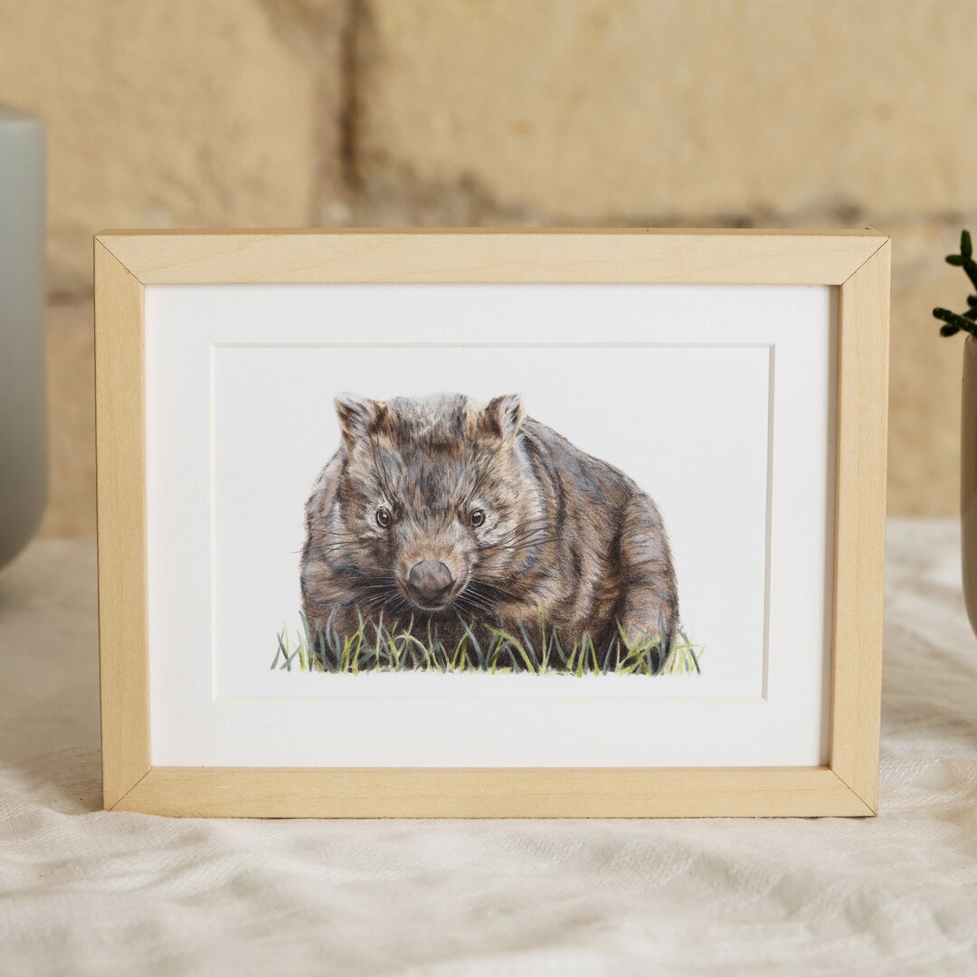 Wombat Print - Australian Animal Print - Australian Native Wildlife Art ...