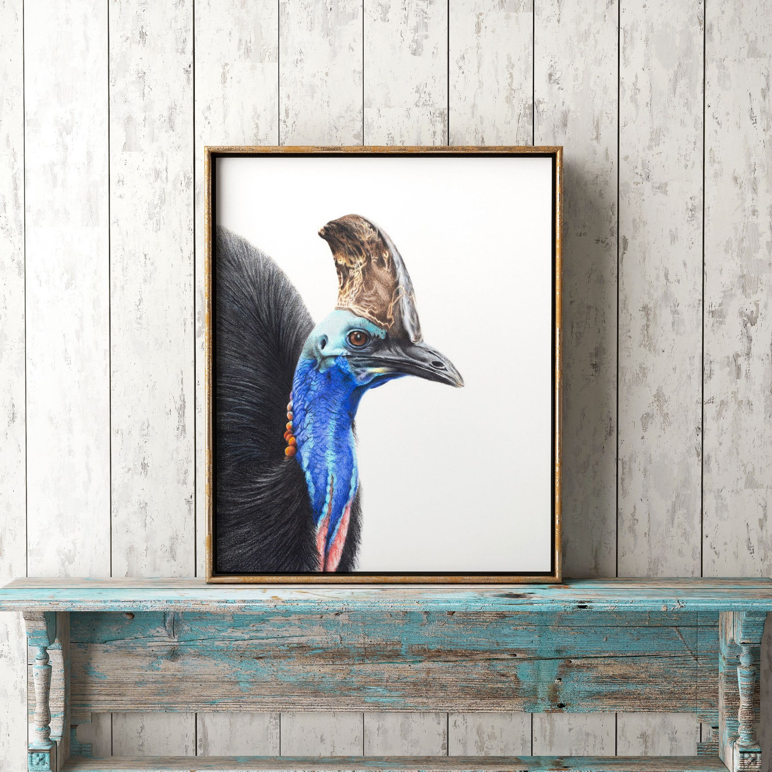 Cassowary Print, Australian Native Bird Art - Etsy