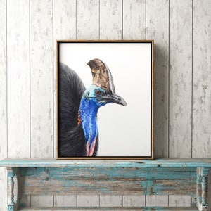 Cassowary Print, Australian Native Bird Art - Etsy