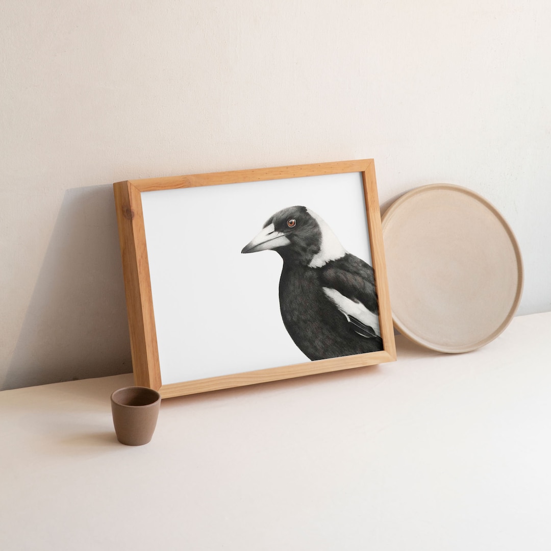 Australian Magpie Print - Magpie Art - Australian Birds Art Print - Etsy