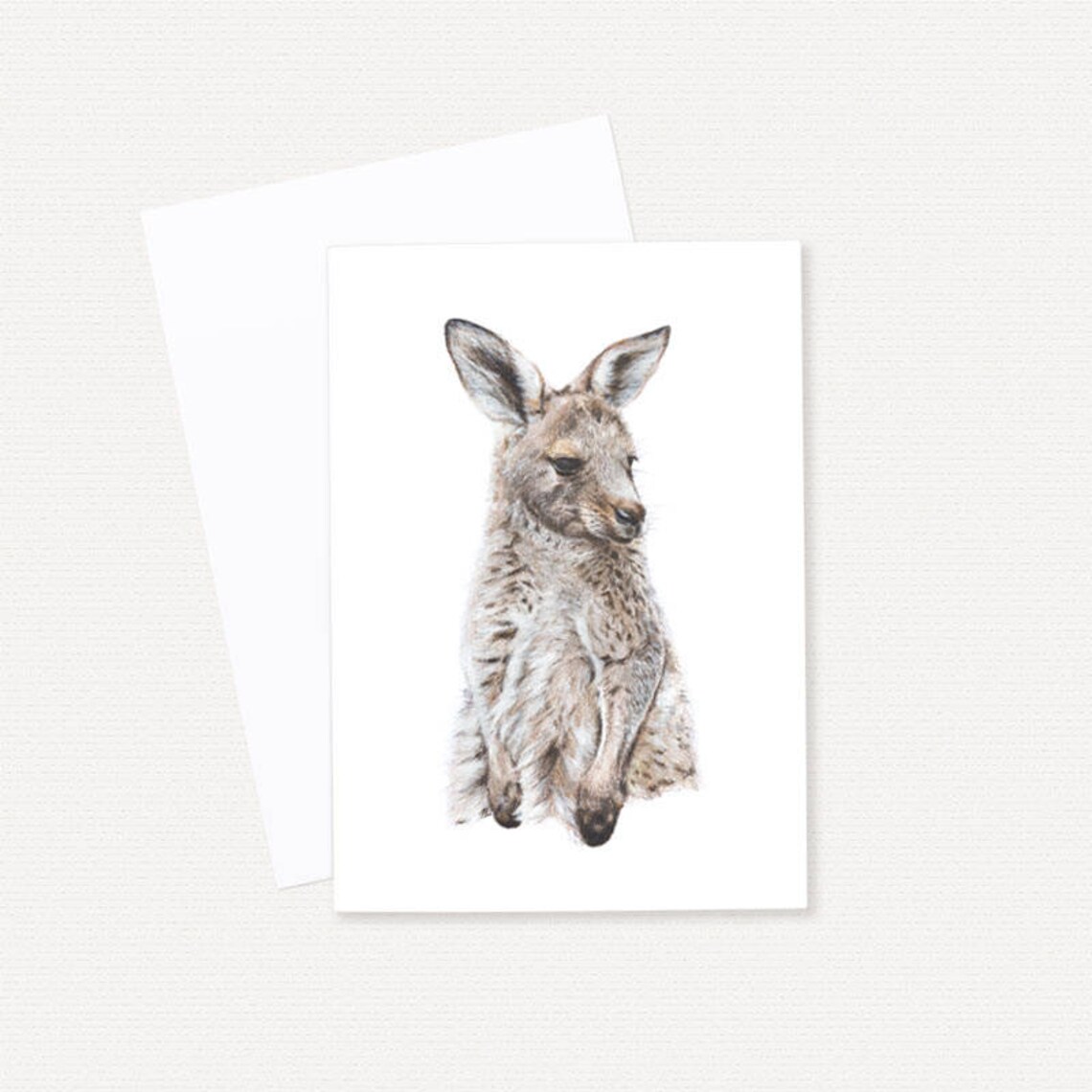 Kangaroo Greeting Card Australian Wildlife Greeting Card - Etsy