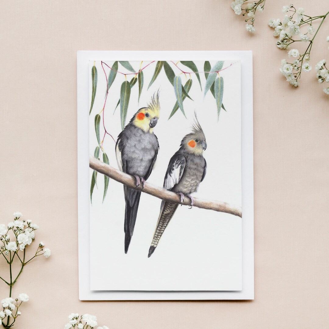 Cockatiels Australian Greeting Card Australian, Bird, Cards, 5x7 - Etsy