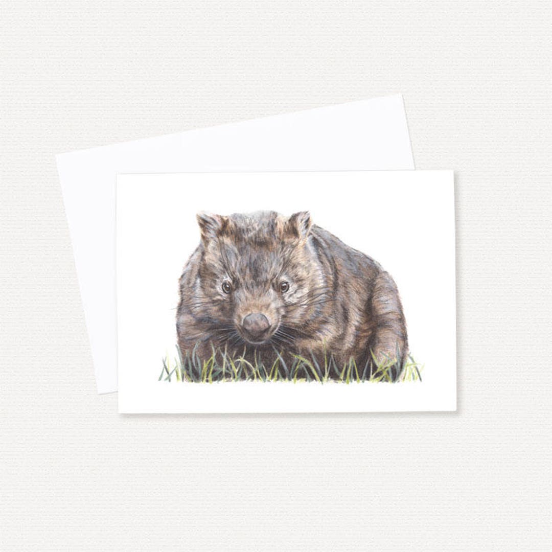 Wombat Greeting Card Australian Wildlife Greeting Card - Etsy Australia