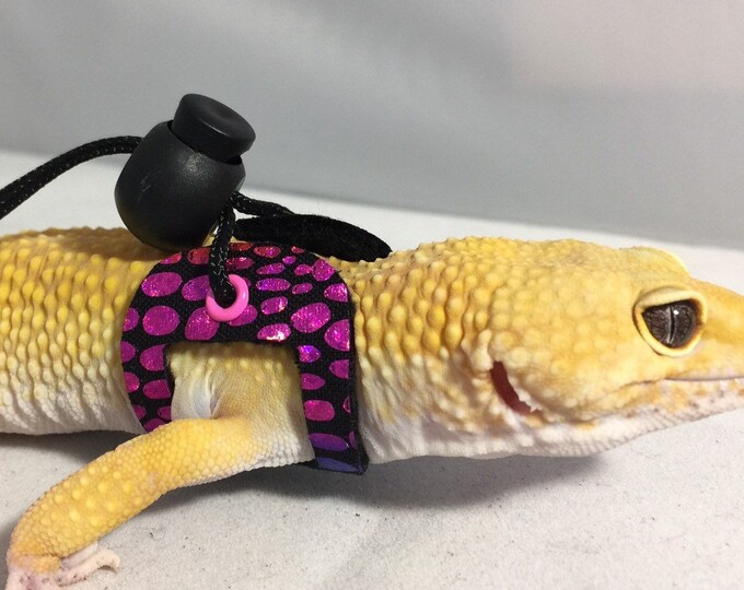 Leopard Gecko Small Lizard Harness - Etsy