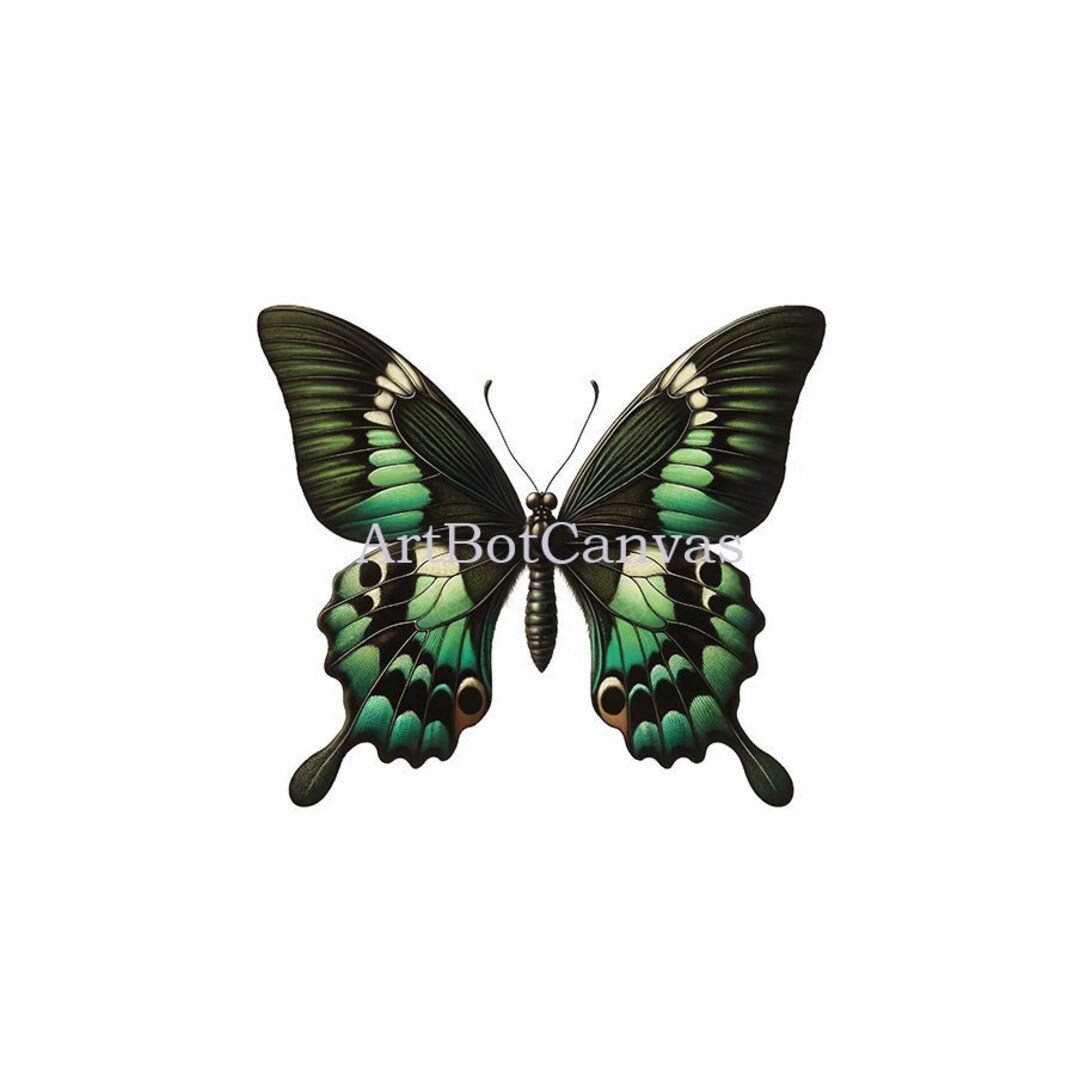 Exotic Butterfly Parides Agavus, AI Generated Digital Image, Instant ...