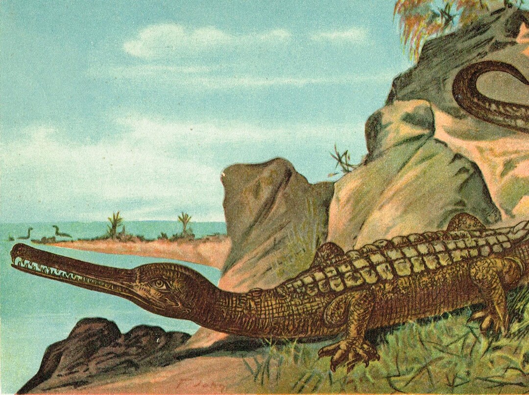 Antique 1910s Teleosaurus Lithograph - Prehistoric Crocodile Print by ...