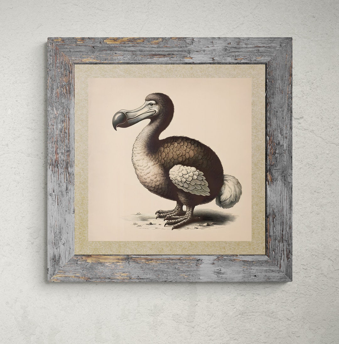 The Extinct Dodo Bird, Vintage Style AI Generated Illustration, Wall ...