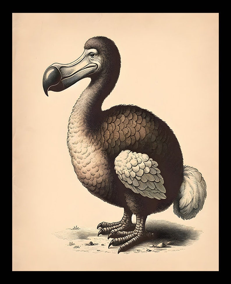 The Extinct Dodo Bird, Vintage Style AI Generated Illustration, Wall ...