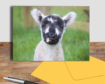 Farm Animal Card | Etsy