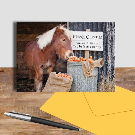 Shetland pony card. pony greetings card horse card pony | Etsy