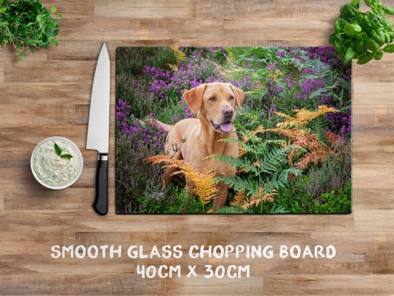 Glass Chopping Board Worktop Protector Fox Red Labrador | Etsy