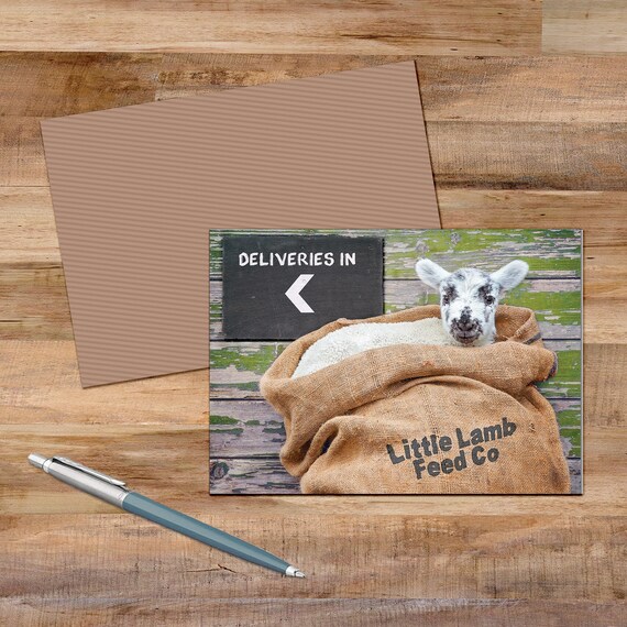 Cute lamb greetings card. Farm animal greetings card | Etsy