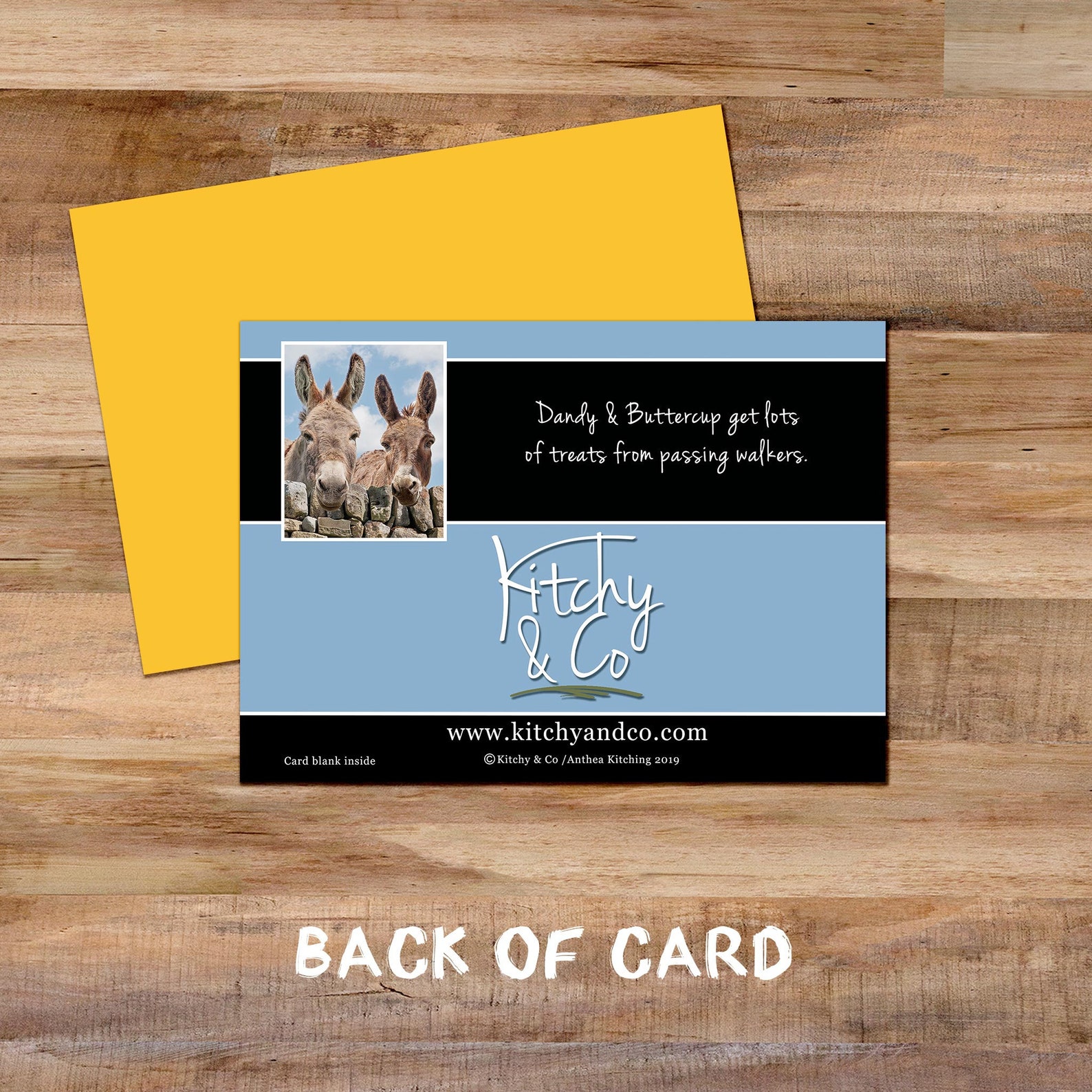 Donkey Card. Funny Donkey, Retired Donkeys, Coast 2 Coast, Greetings ...