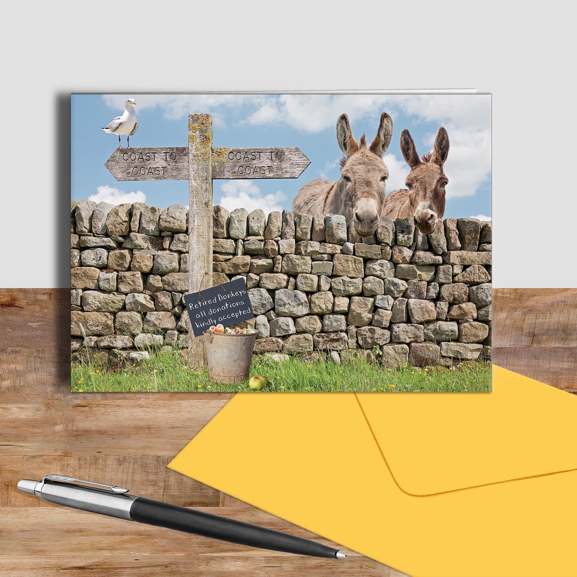 Donkey Card. Funny Donkey, Retired Donkeys, Coast 2 Coast, Greetings ...