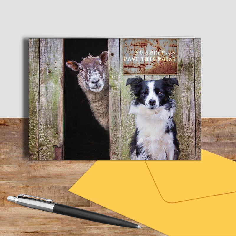 Collie Cards - Etsy