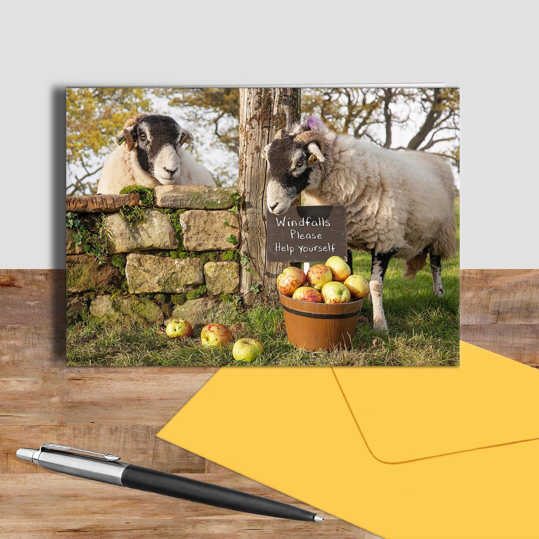 Swaledale Sheep Greetings Card. Farm Animal Card, Farming Greetings ...