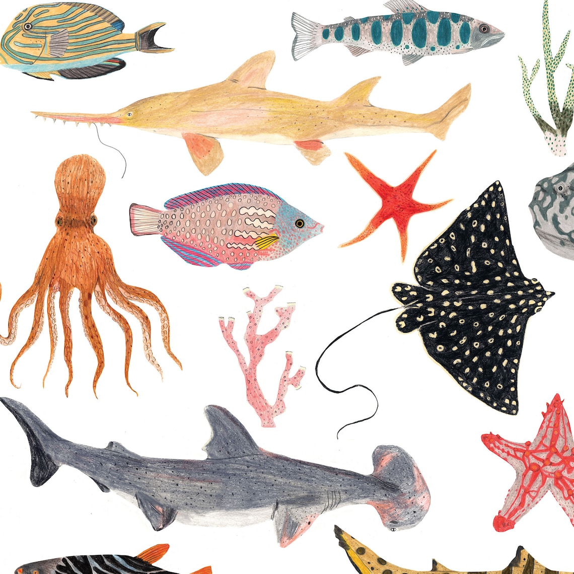 Sea Life Art Print – Hand-illustrated Ocean Creatures, Marine Artwork ...