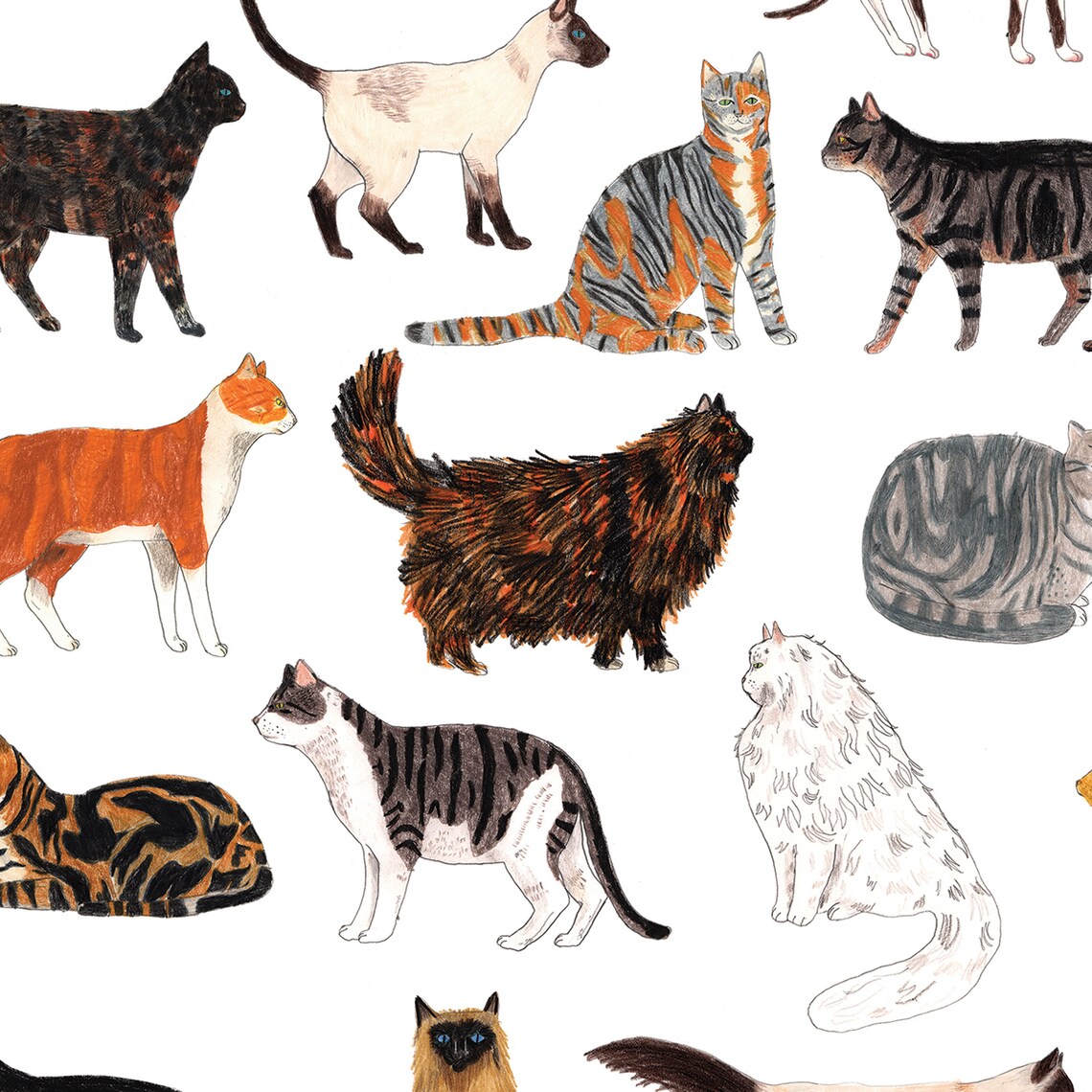 Cat Print, Cat Wall Art, Cat Art, Giclee Print, Cat Nursery Art, Cat ...