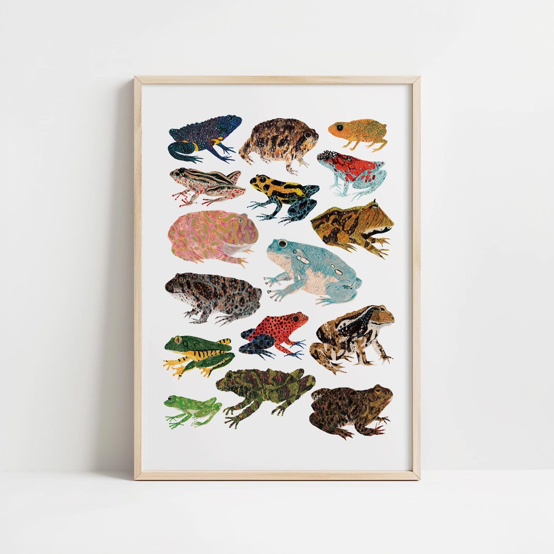 Frogs Print, Toad Wall Art, Amphibian Gift, Home Decor, Birthday Gift ...